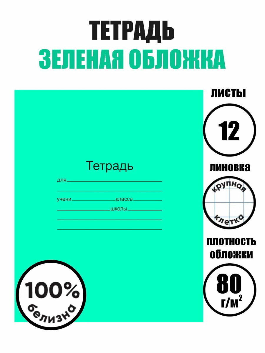 Тетрадь 12 листов в крупную клетку "Зелёная обложка", плотность 60 г/?2, 300 шт.