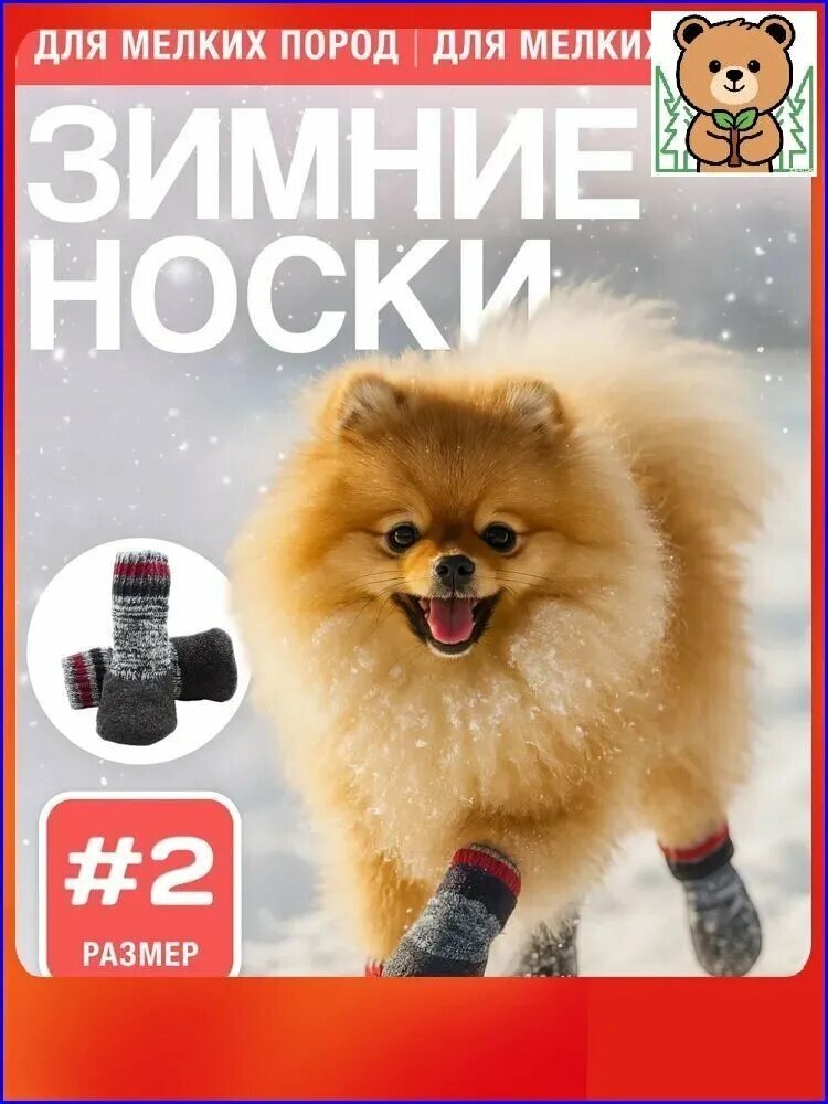 Обувь для собак