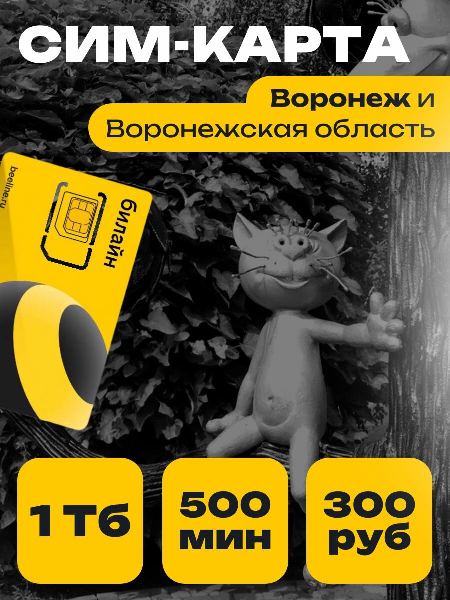 Сим-карта Билайн тариф Эксклюзивный Воронежская область 1000 Гб + 500 минут за 300 руб.