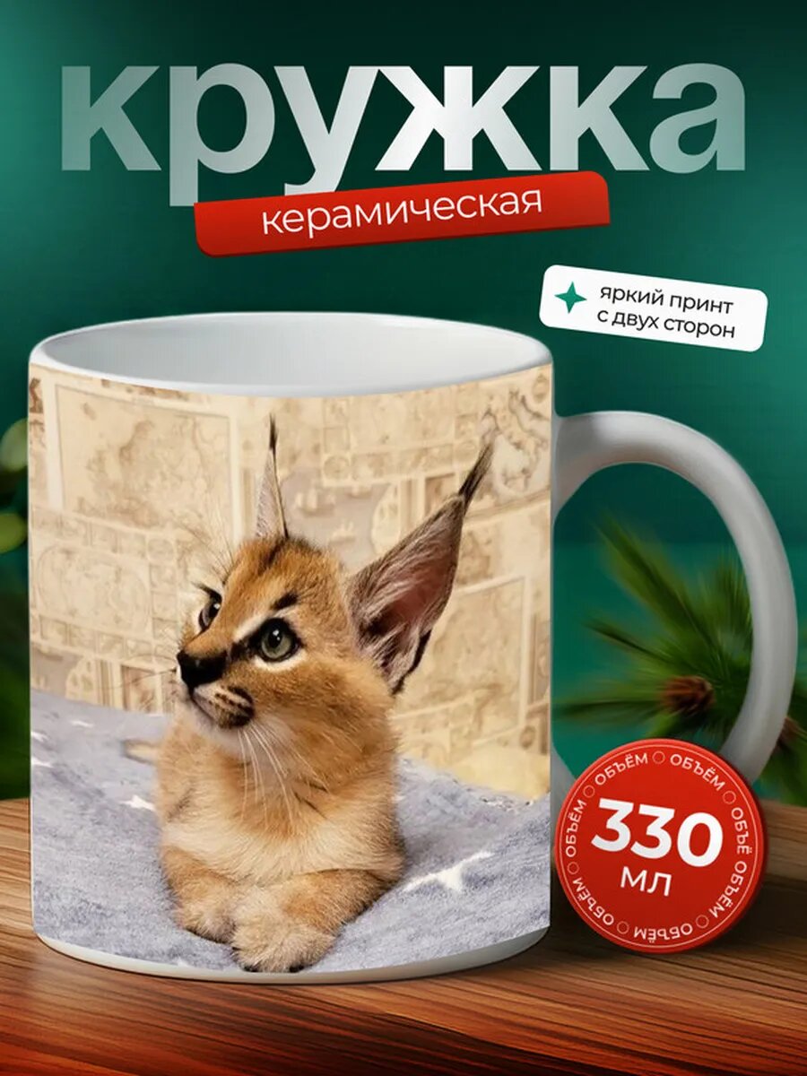 Кружка Маврикийский коралл кот 29,