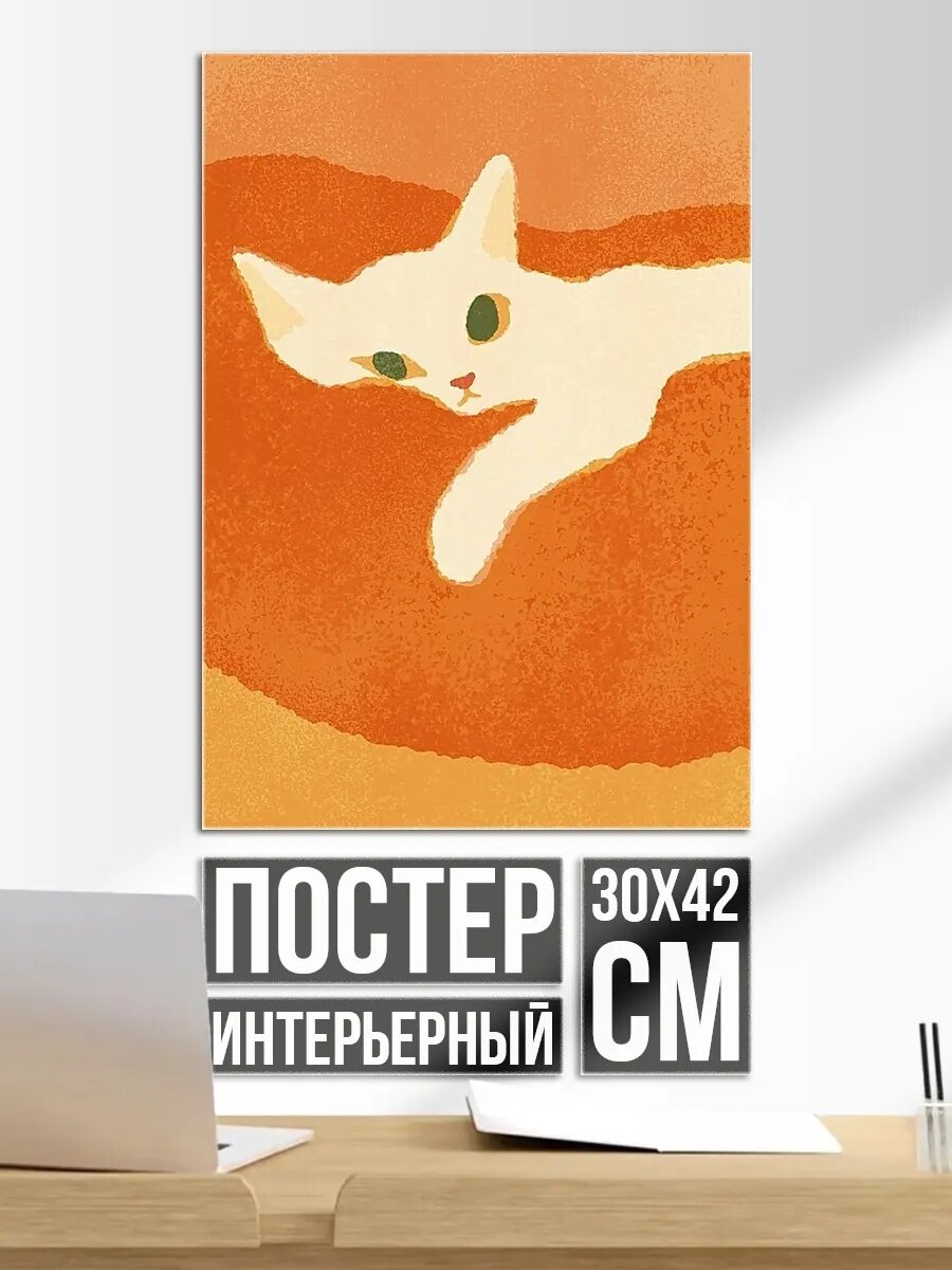 Плакат постер Белый кот