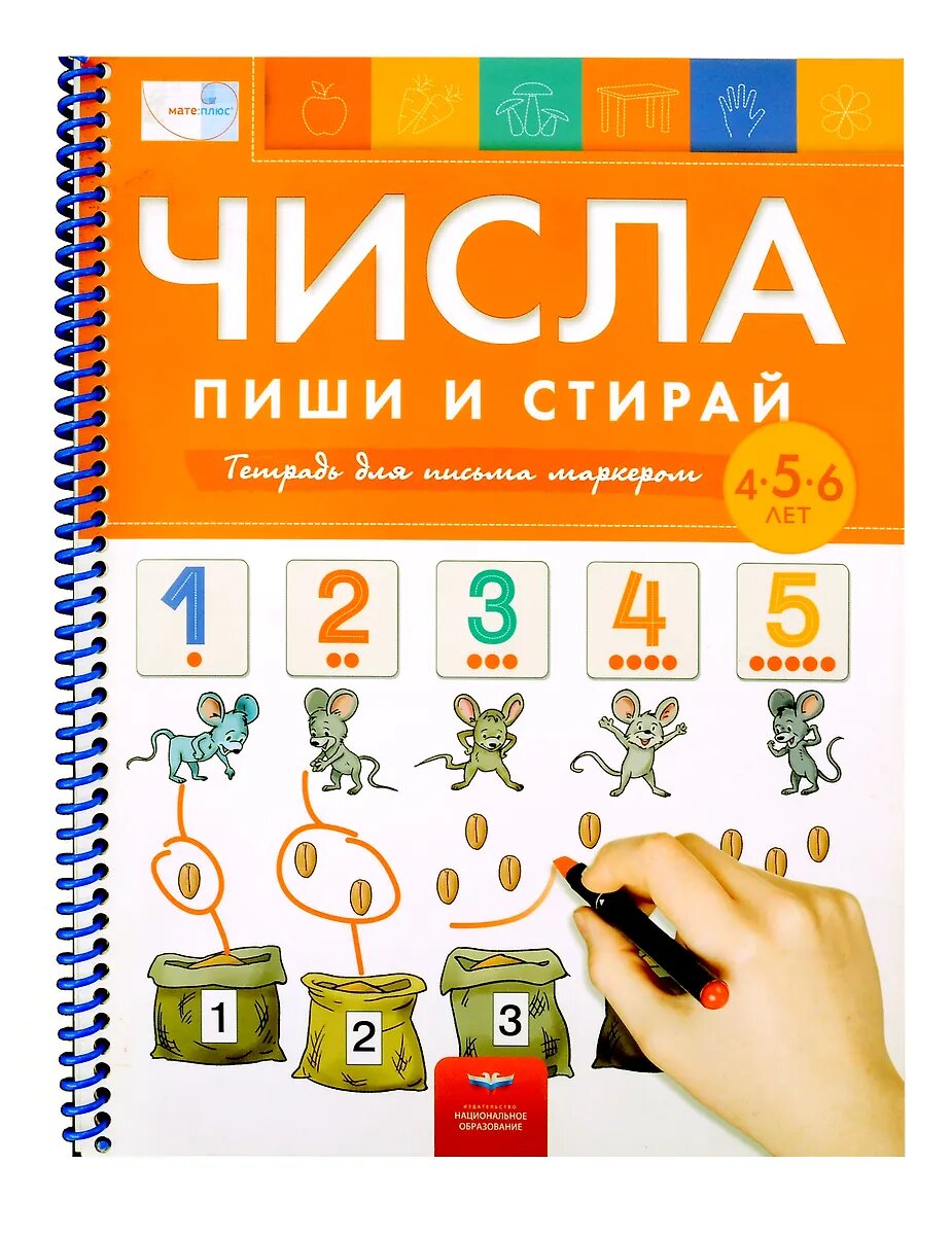 Числа: пиши и стирай: тетрадь для письма маркером для детей 4-5-6 лет, Е. А. Вершинина, Национальное Образование, 2021 г