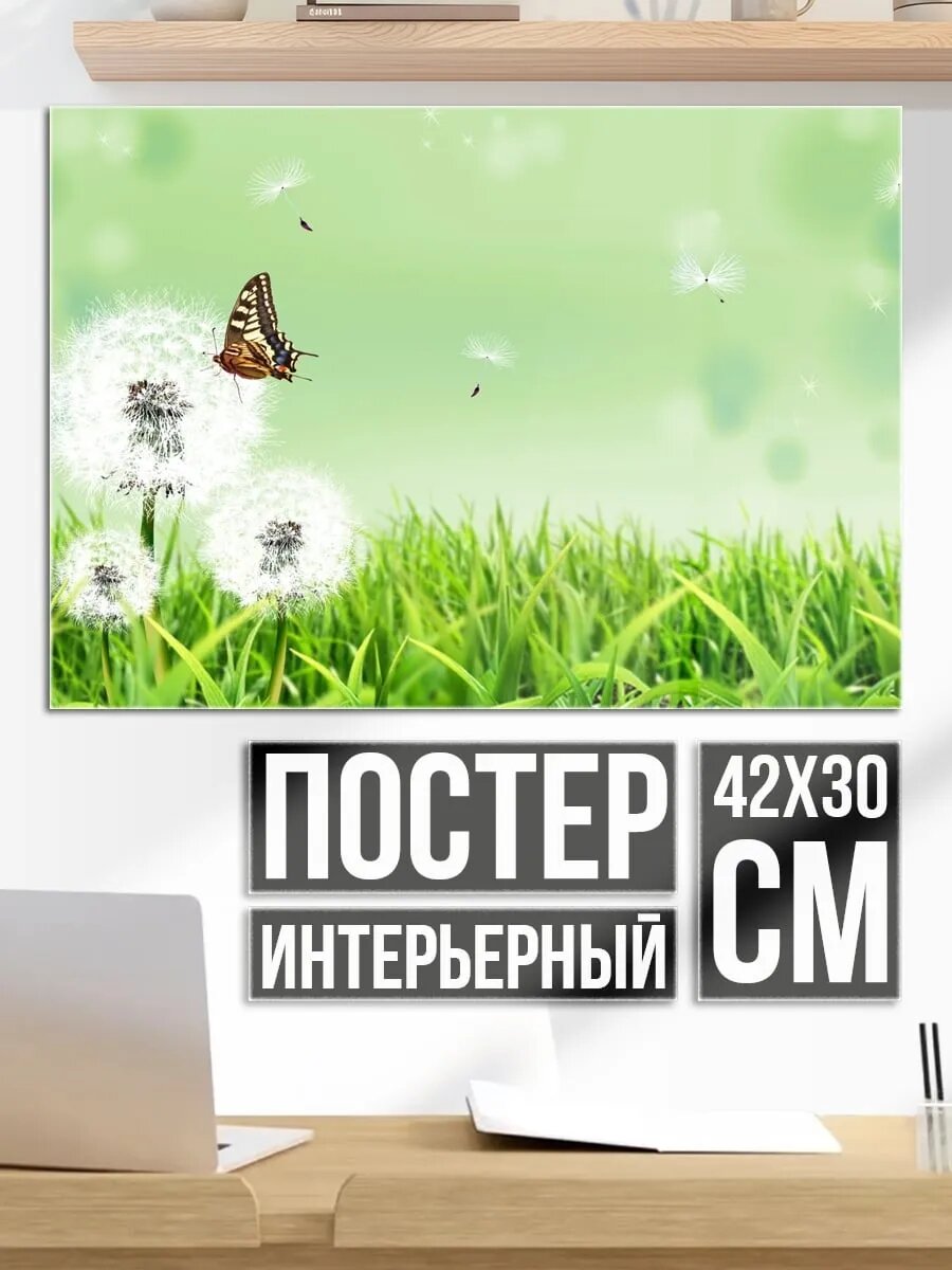 Плакат постер Летний луг