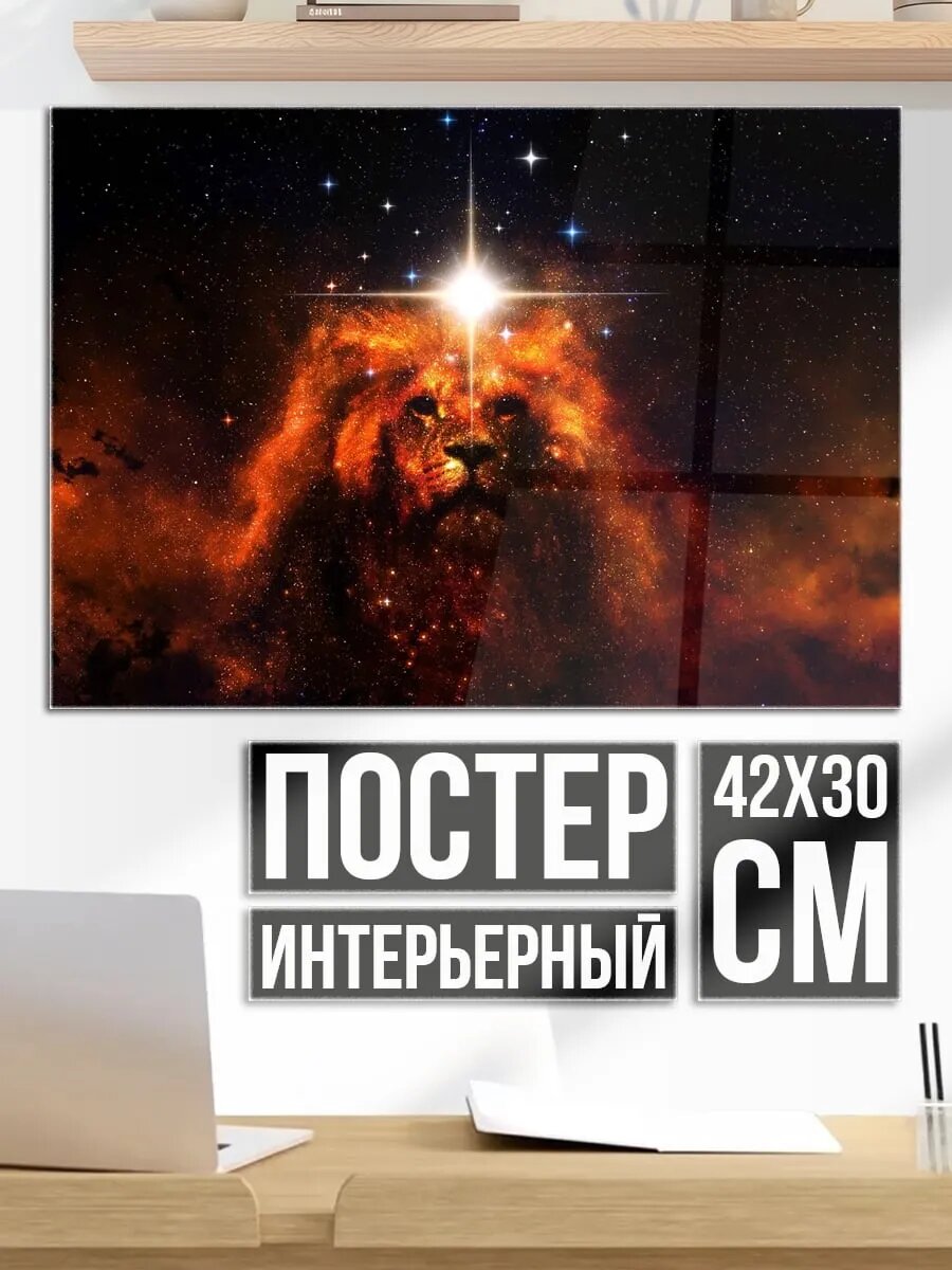 Плакат постер Лев в космосе