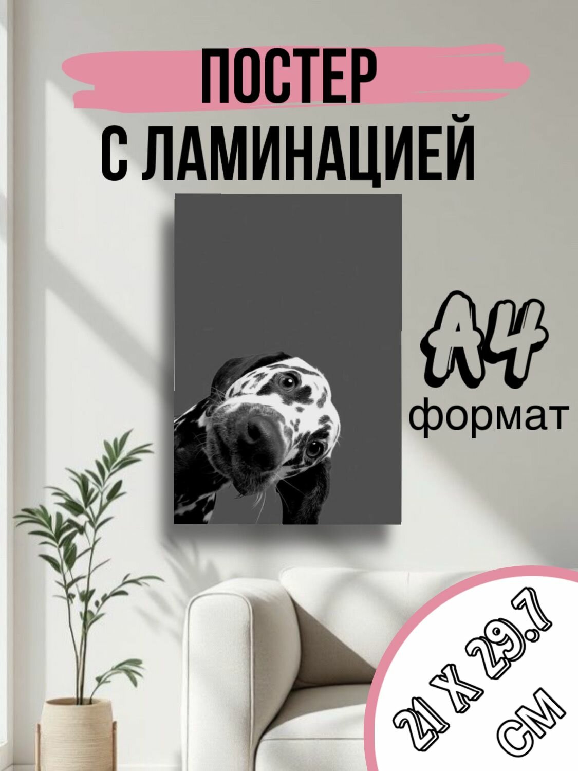 Постер