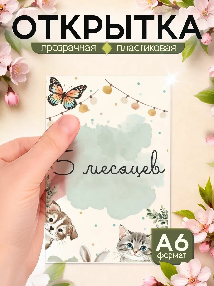 Карточки для фотосессии новорожденных по месяцам
