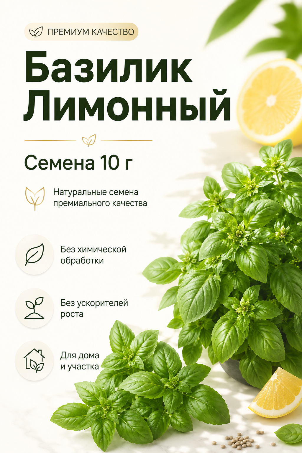 Семена базилика лимонный для проращивания, 10 грамм
