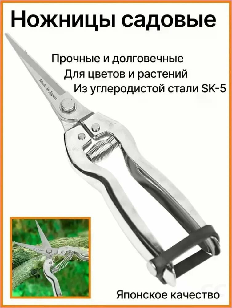 Сучкорез