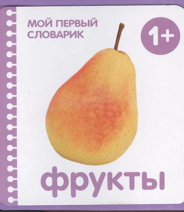 Фрукты