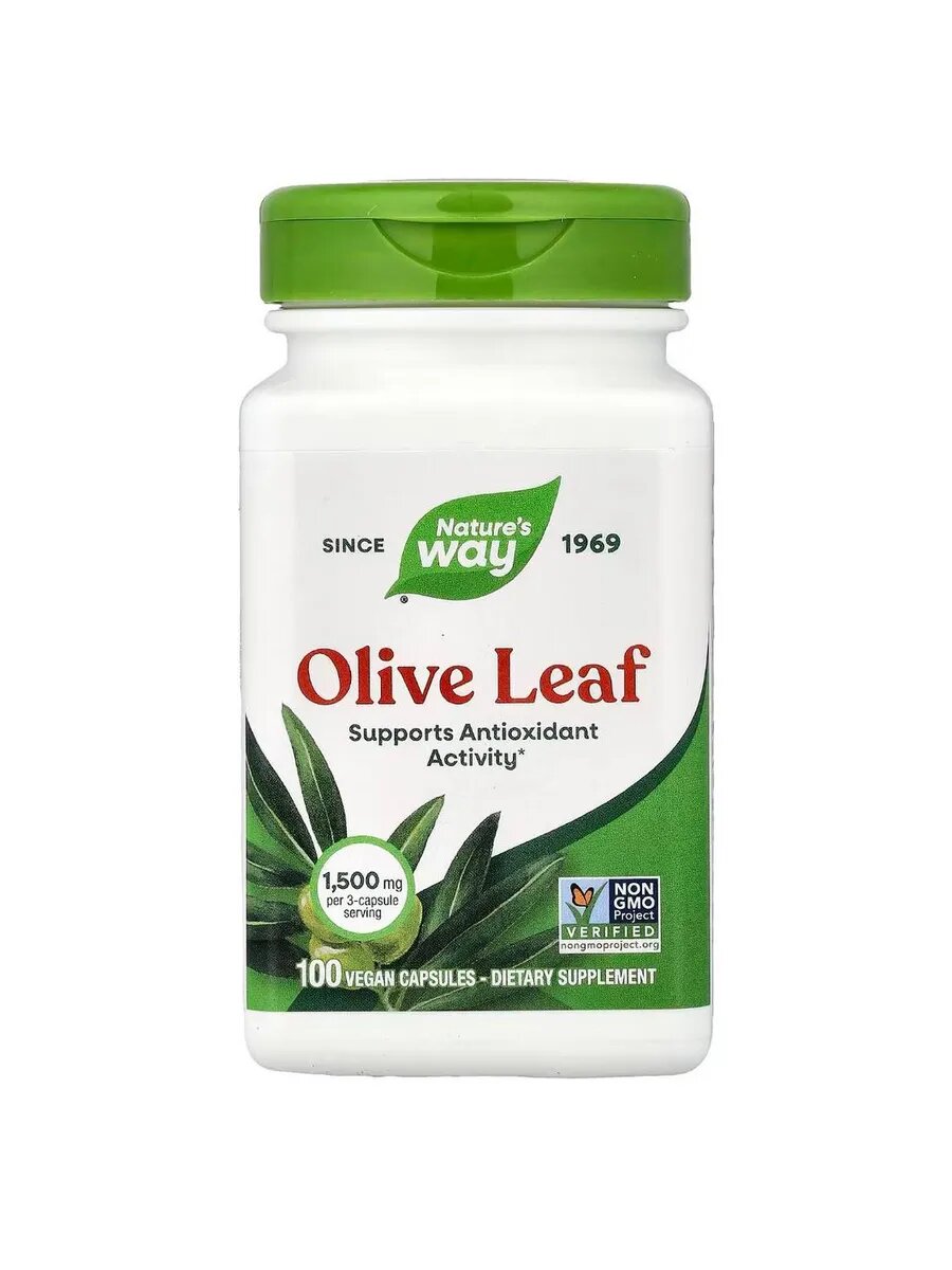 Лист оливы olive leaf противовирусный противогрибковый