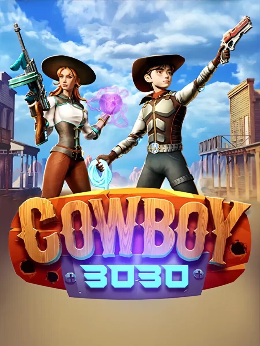 Cowboy 3030, игра для ПК (на флешке USB)