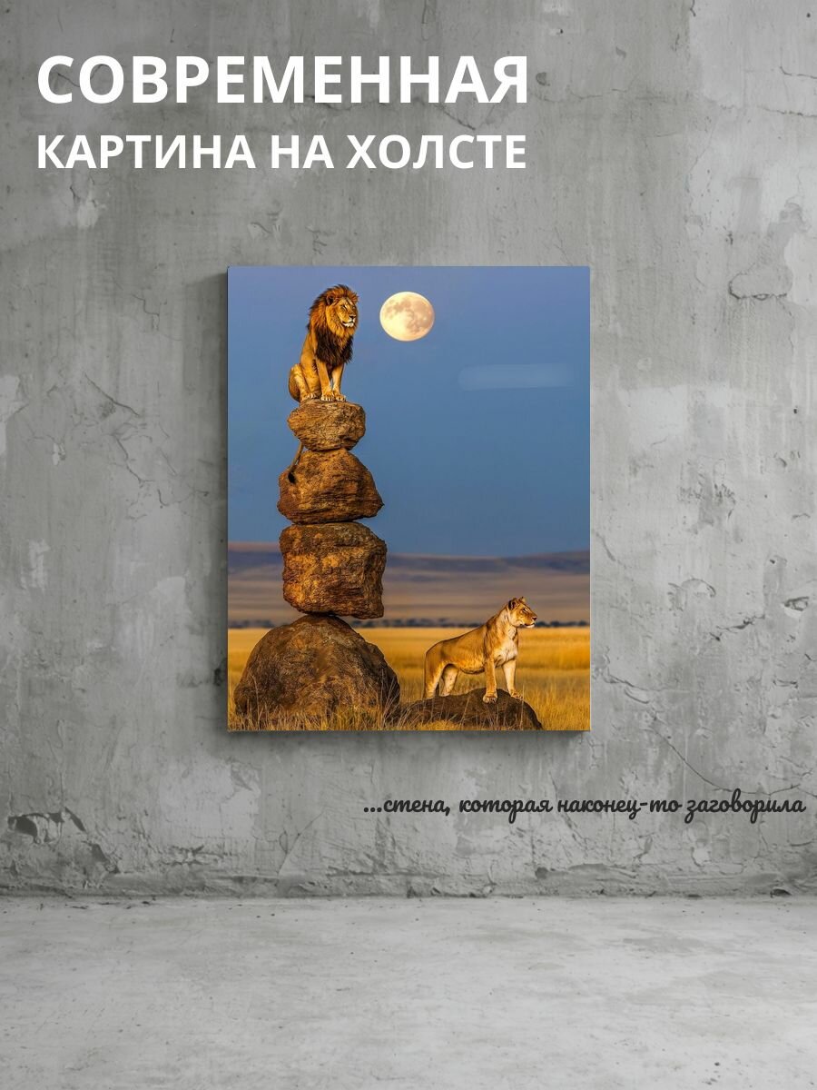 Картина на холсте Львы и львица 20x30 см