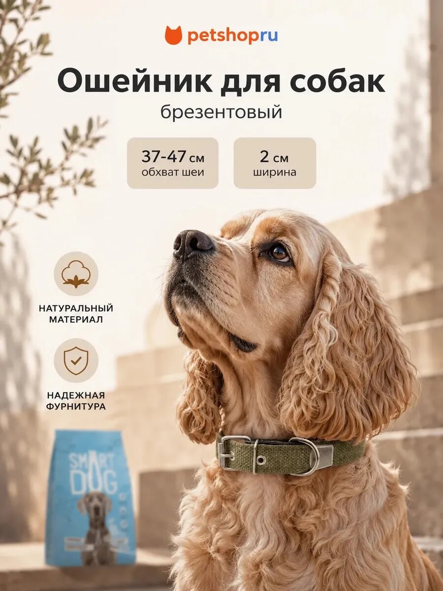 Yami Yami амуниция Ошейник брезентовый для собак, 1 слой, 37-47 см
