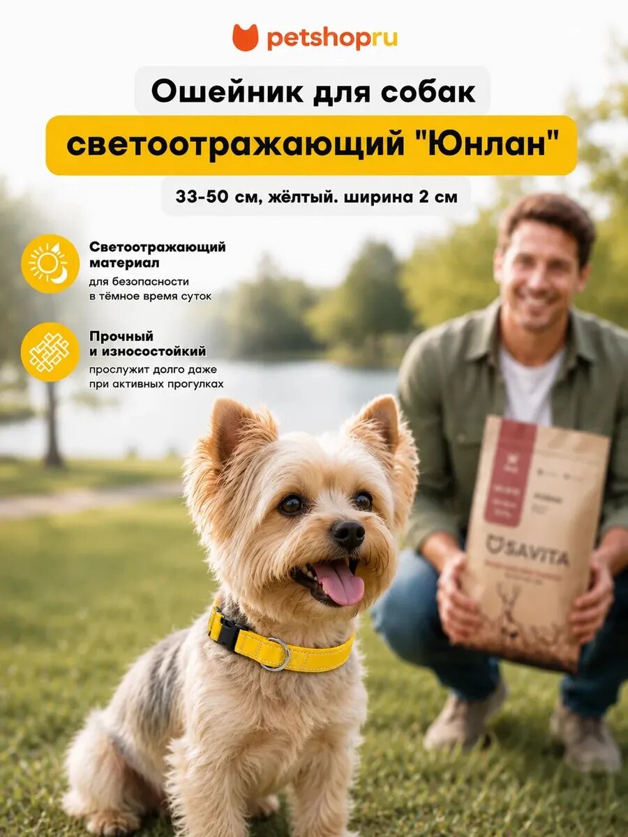 Tappi Ошейник светоотражающий для собак "Юнлан", 33-50см
