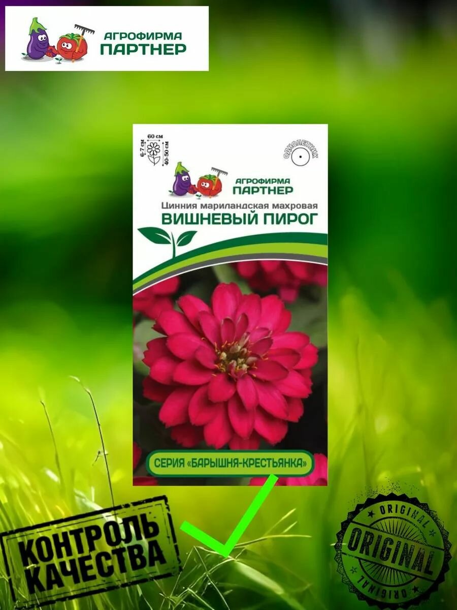 Партнер Цинния вишневый пирог (5шт)