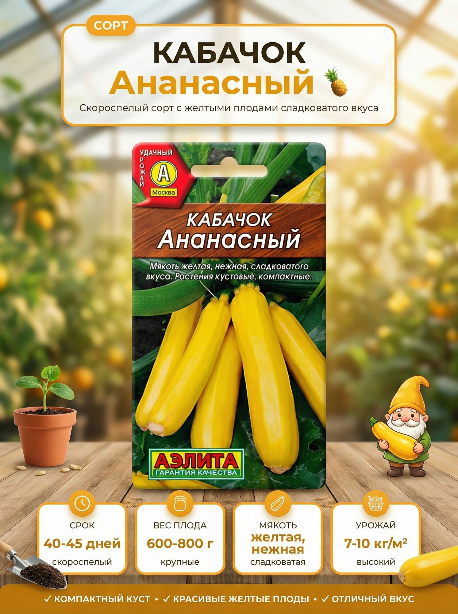 Кабачки семена, ананасный кабачок для открытого грунта и теплиц семена кабачка кабачок ананасный