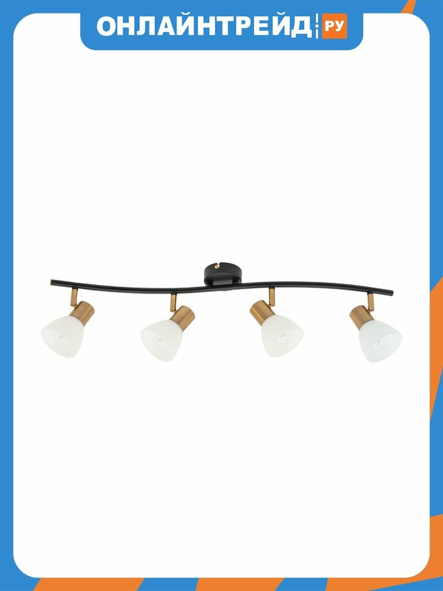 Спот Arte Lamp Falena A3117PL-4BK