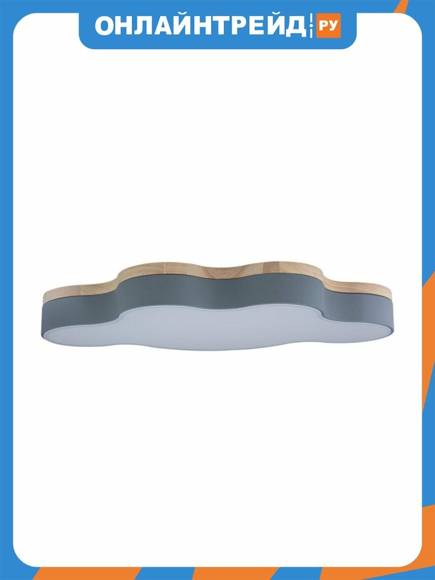 Потолочный светильник Loft IT Axel 10005/36 grey