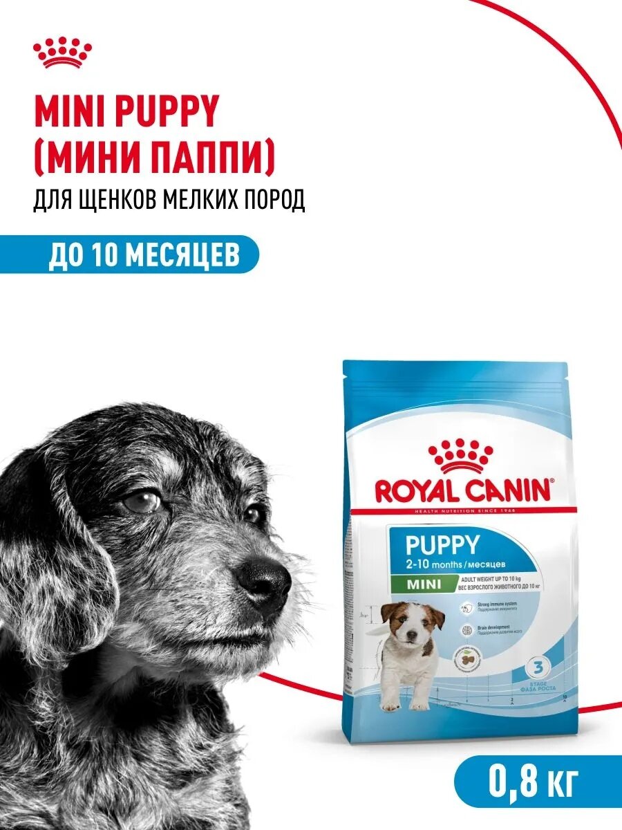 Сухой корм Royal Canin Mini Puppy для щенков мелких пород в возрасте до 10 месяцев ,800 гр