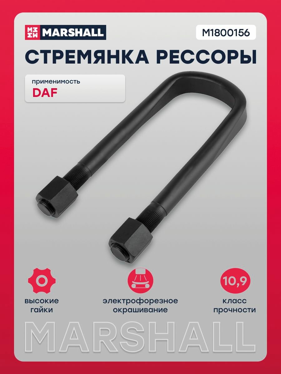 Стремянка рессоры DAF (M22x82/240x80) с гайками