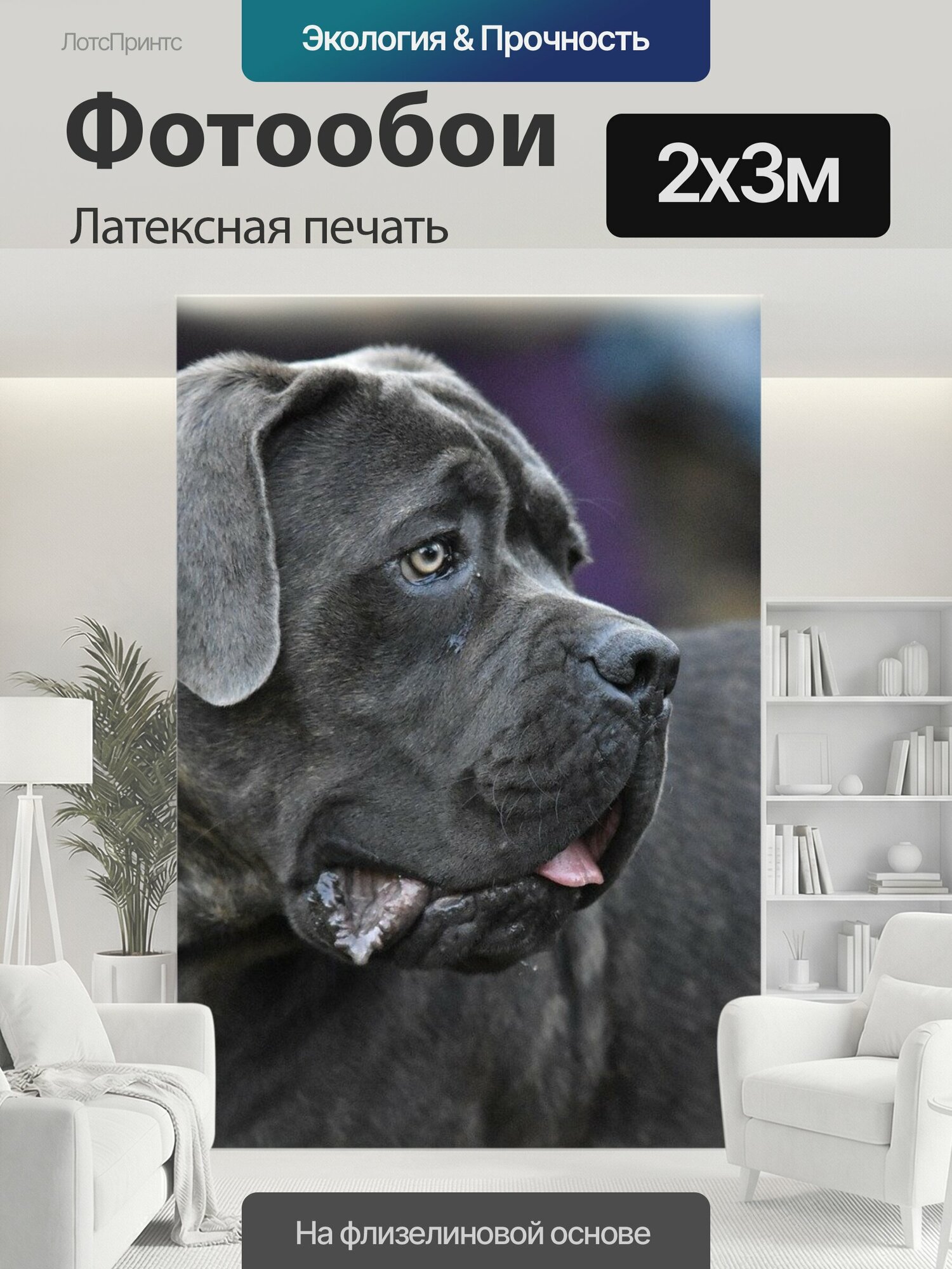 Фотообои моющиеся ударопрочные "Кане корсо, собака, животные" 200x300 см. латексная печать