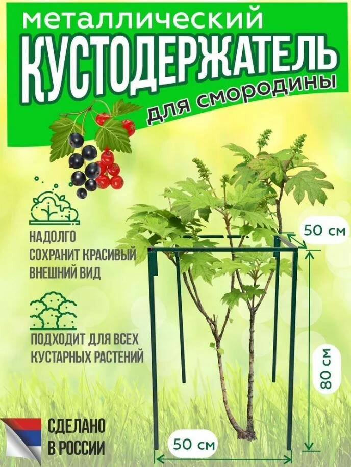 Кустодержатель металлический опора для растений садовая поддержка для кустарников и цветов 50х50х80см