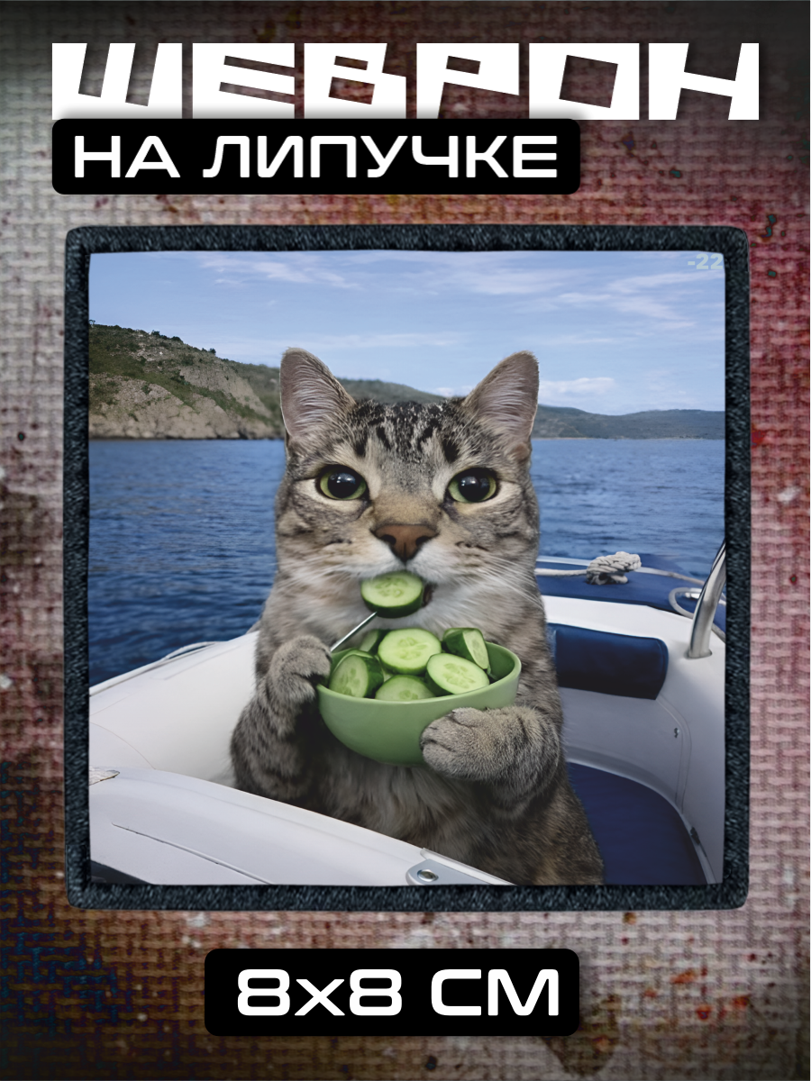 Шеврон на липучке Котик с огурцами мем