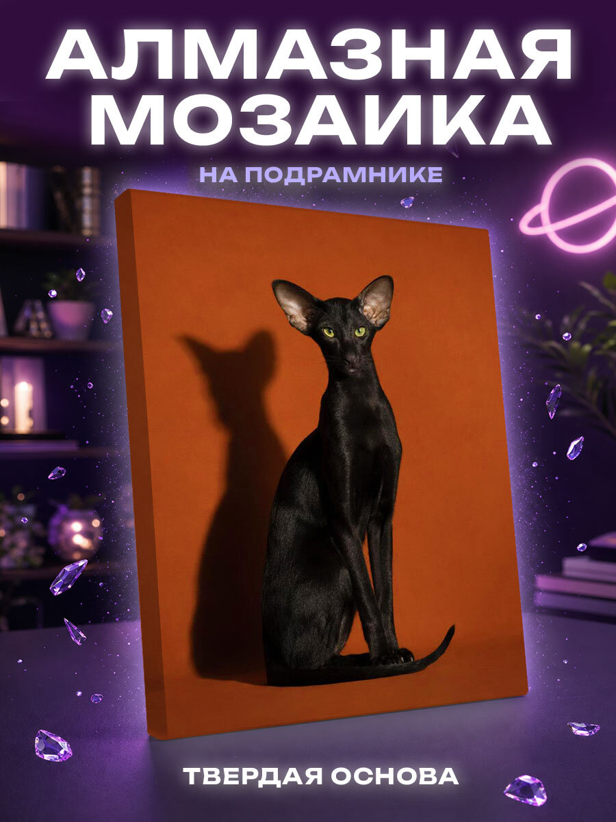 Алмазная мозаика Ориентальный котенок на терракотовом фоне