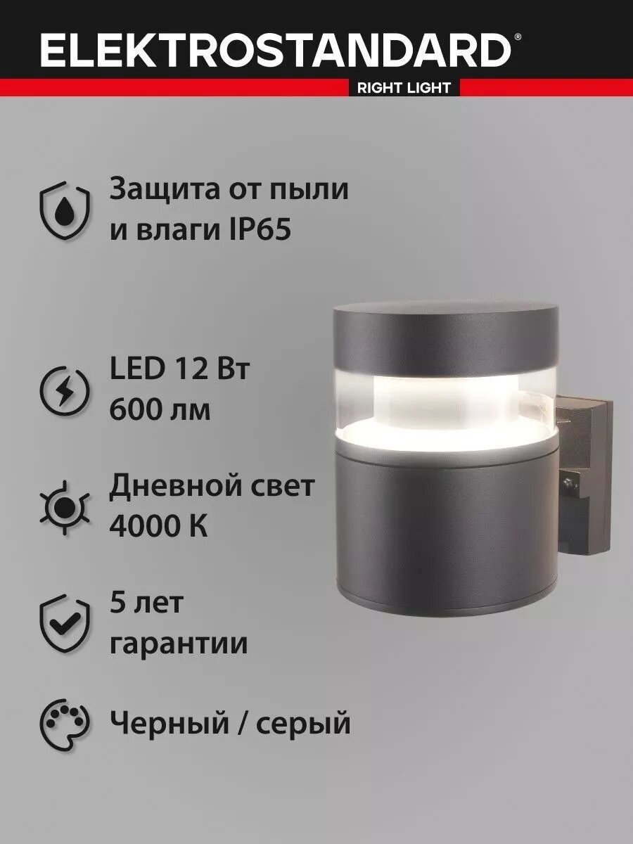 Уличный настенный светодиодный светильник Elektrostandard 1530 TECHNO LED, 12 Вт, 4000K, цвет серый, IP65