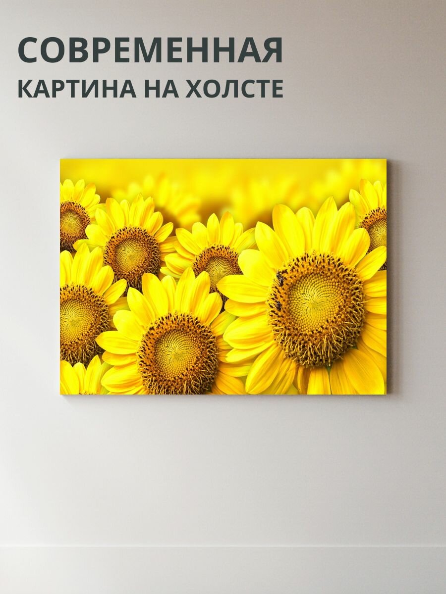 Картина на холсте Подсолнухи 70x50 см