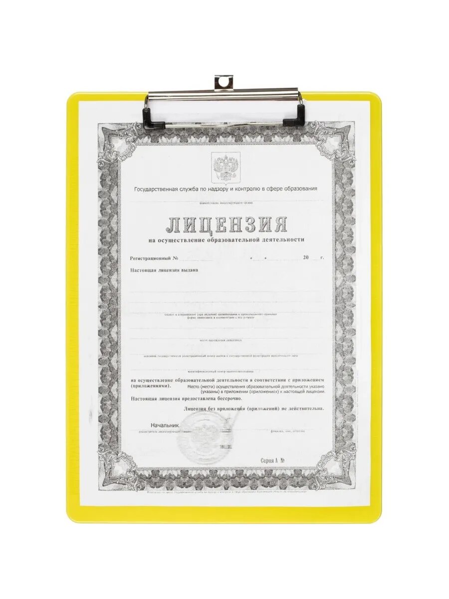 Яркая прозрачная папка для документов