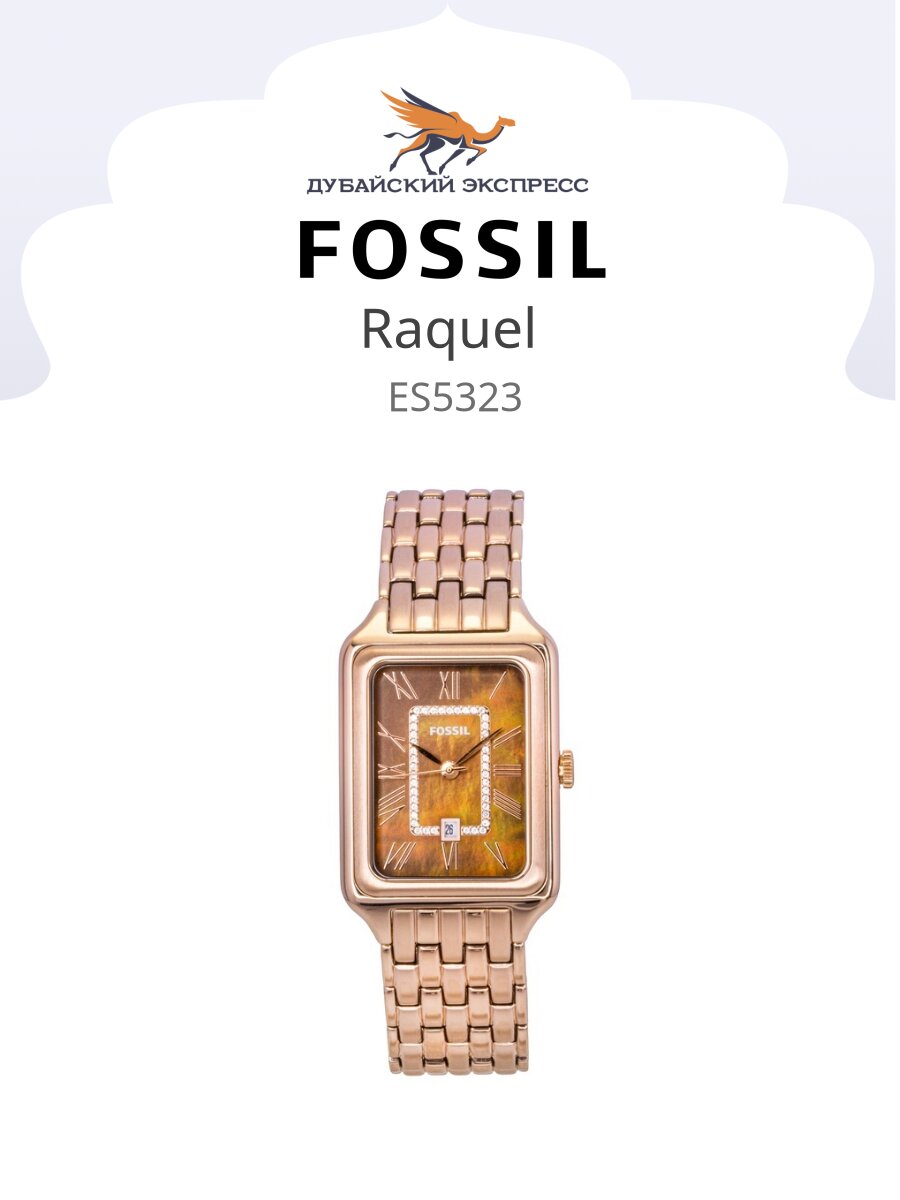  FOSSIL