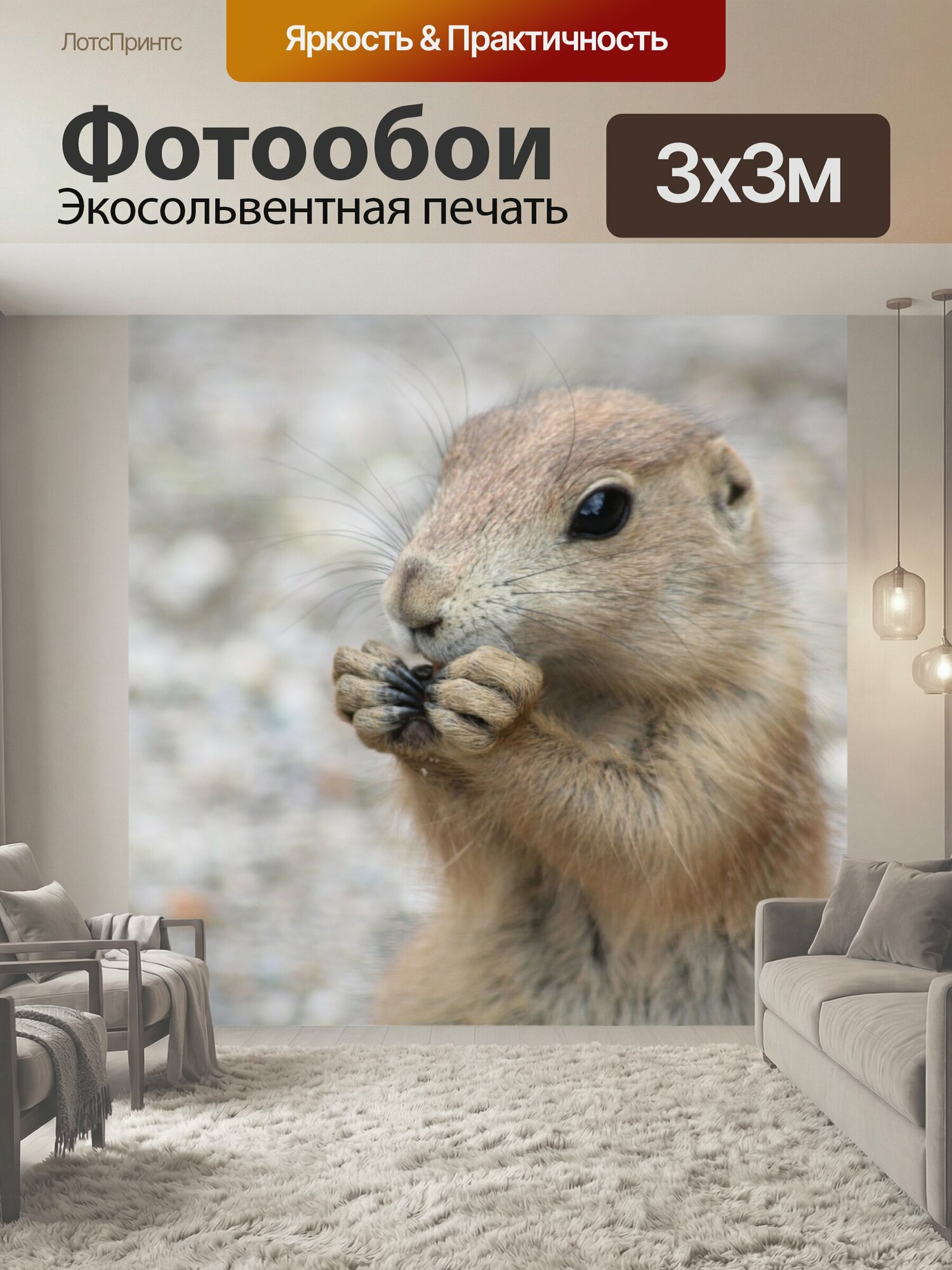 Фотообои "Луговые собачки, зоопарк, животные" 300x300 см. экосольвентная печать