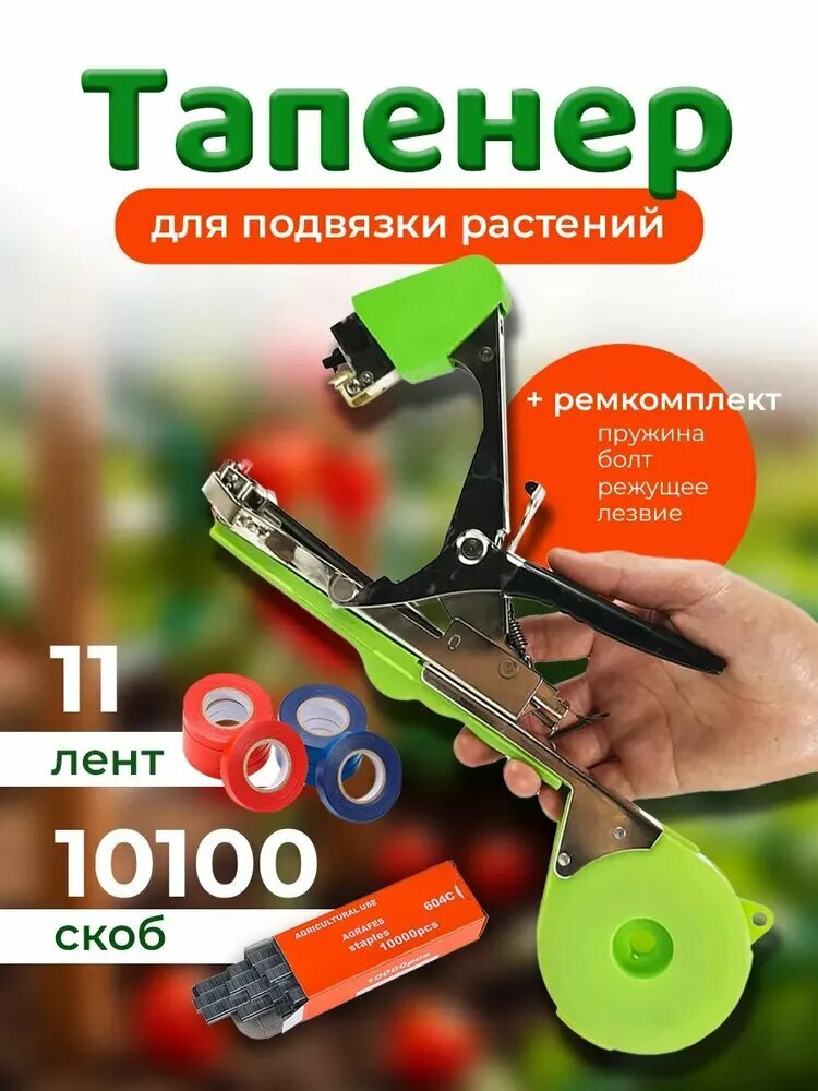 Тапенер