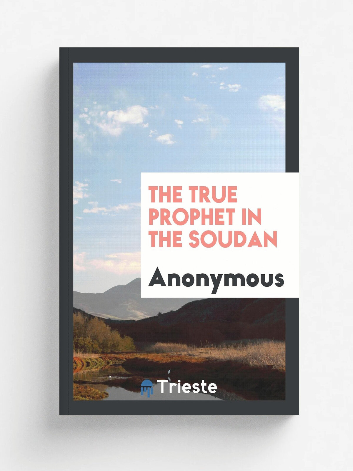 The true prophet in the Soudan