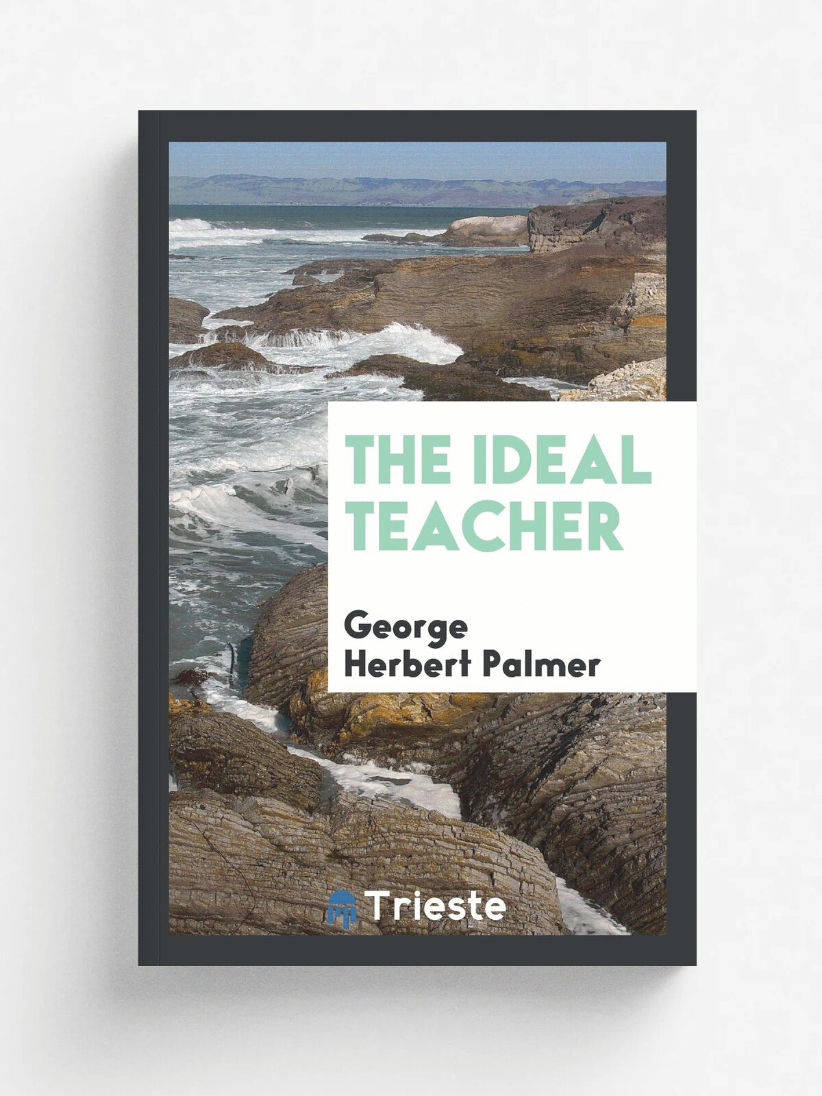 The ideal teacher