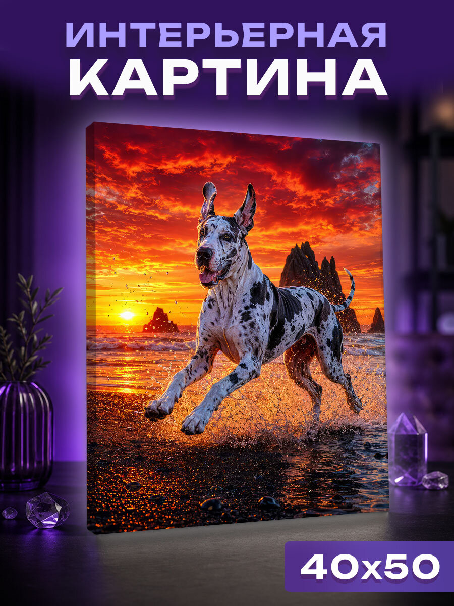 Интерьерная картина Мраморный немецкий дог бежит по воде