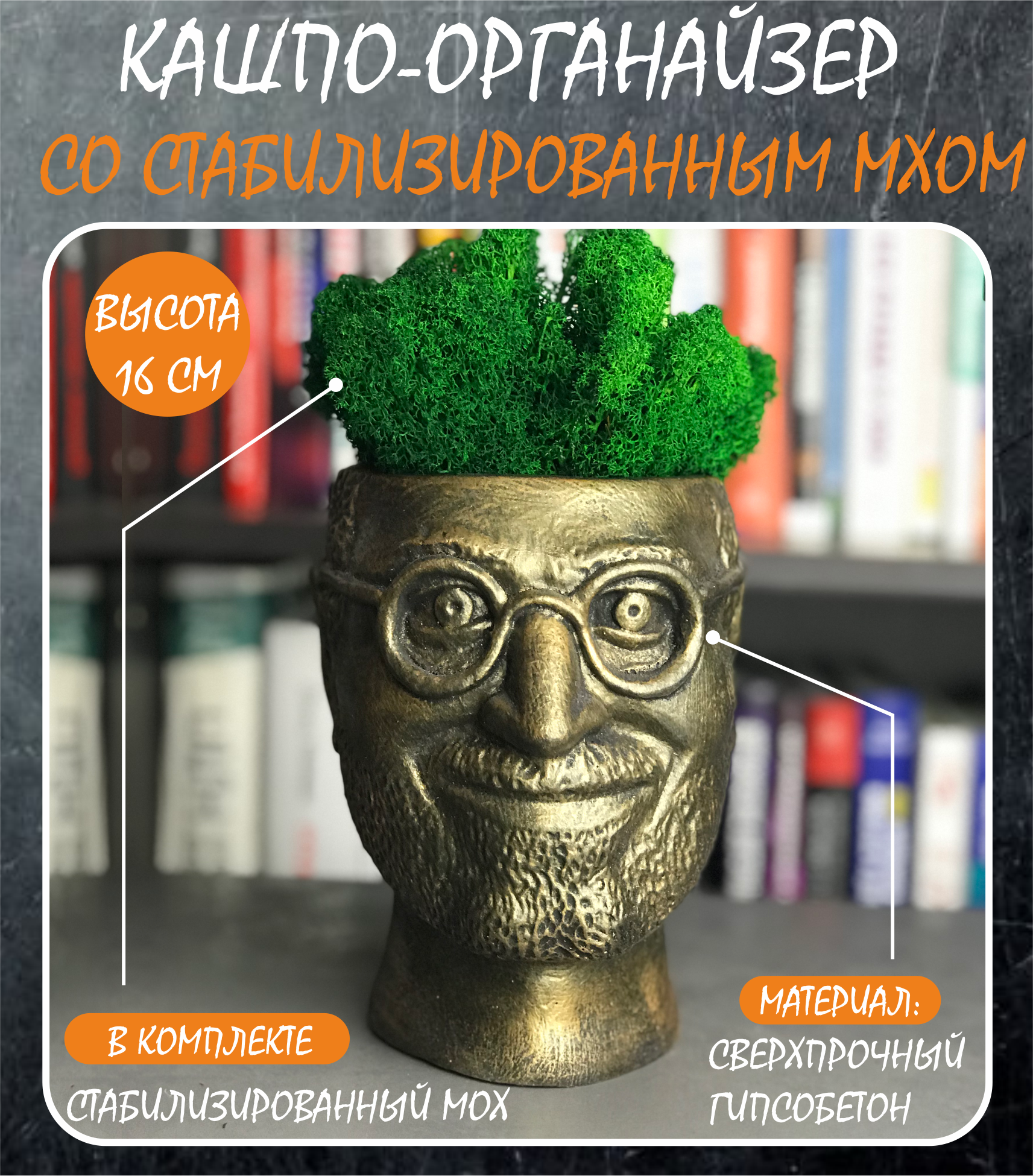 Кашпо SUVENIR-PRO "Стив Джобс", стабилизированный мох, цвет бронза, высота 16 см, ширина 13 см