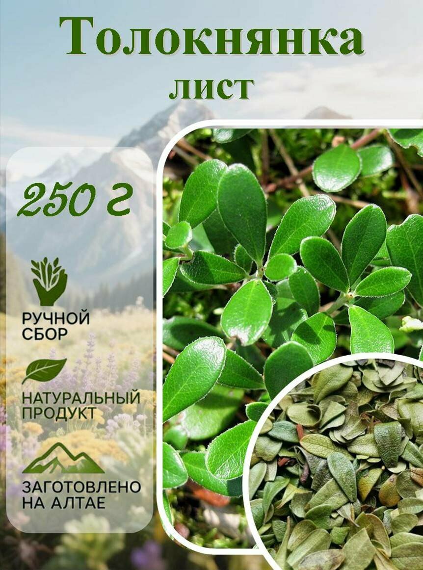 Толокнянка обыкновенная листья (медвежьи ушки), 250 грамм, АлтайМир