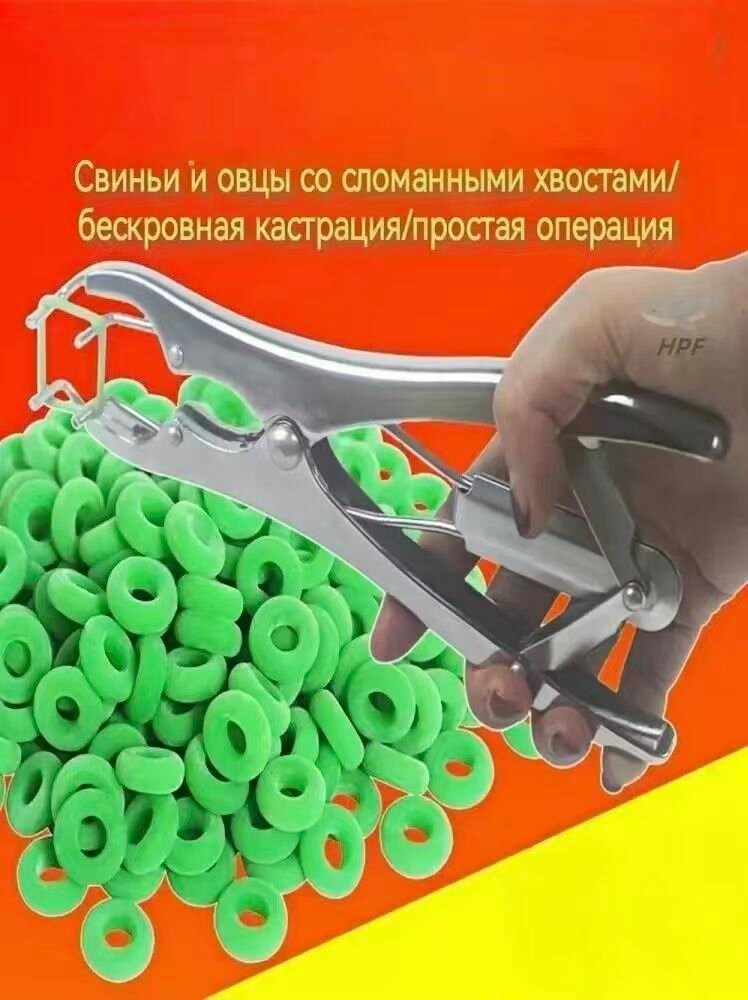 Эксклюзивное эластичное оборудование с 50 резиновыми кольцами для кастрации овец, козлов, ягнят и овечат кастрация овец коз 50 резиновых колец