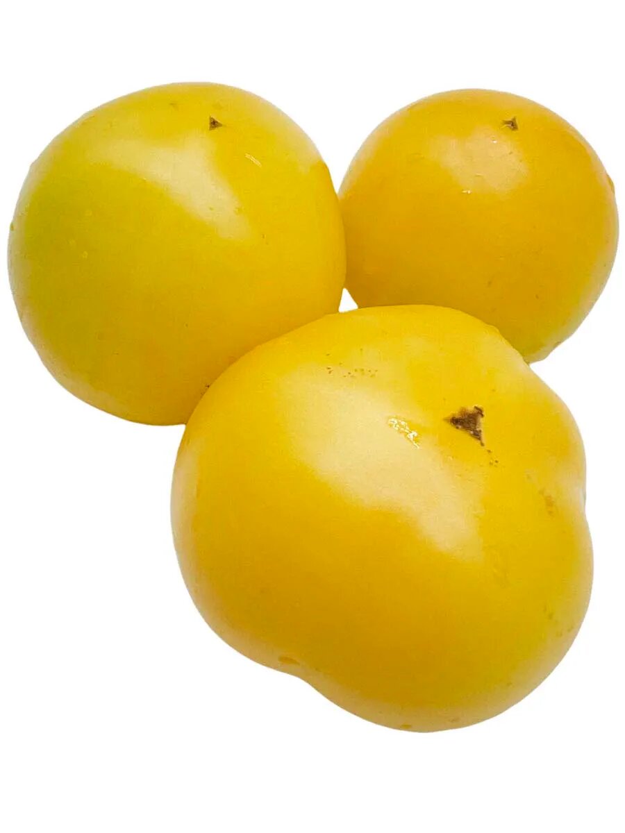 Семена томата Гном Польский желтый (Polish Yellow) (6шт)