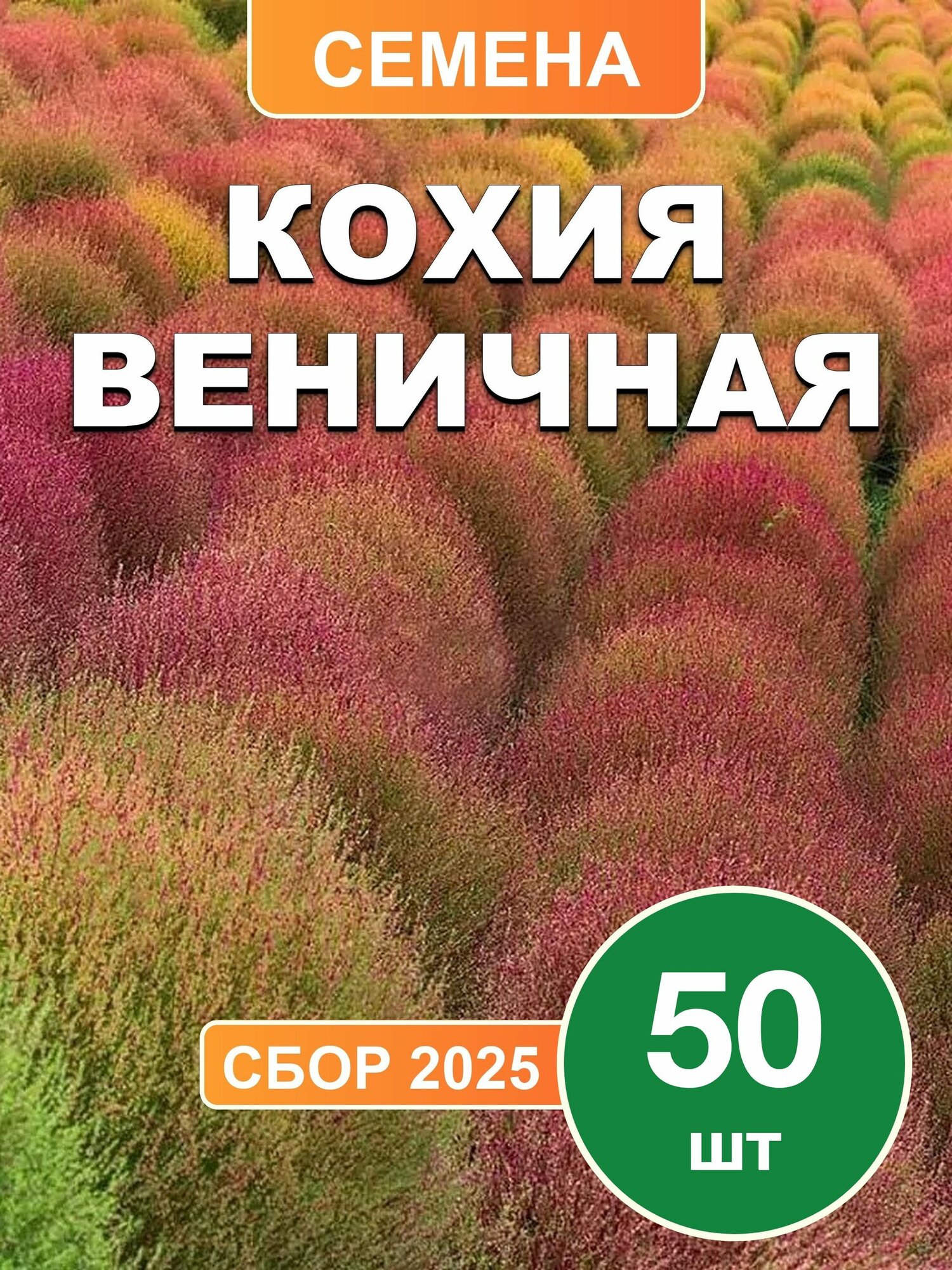 Кохия, семена, 50 шт