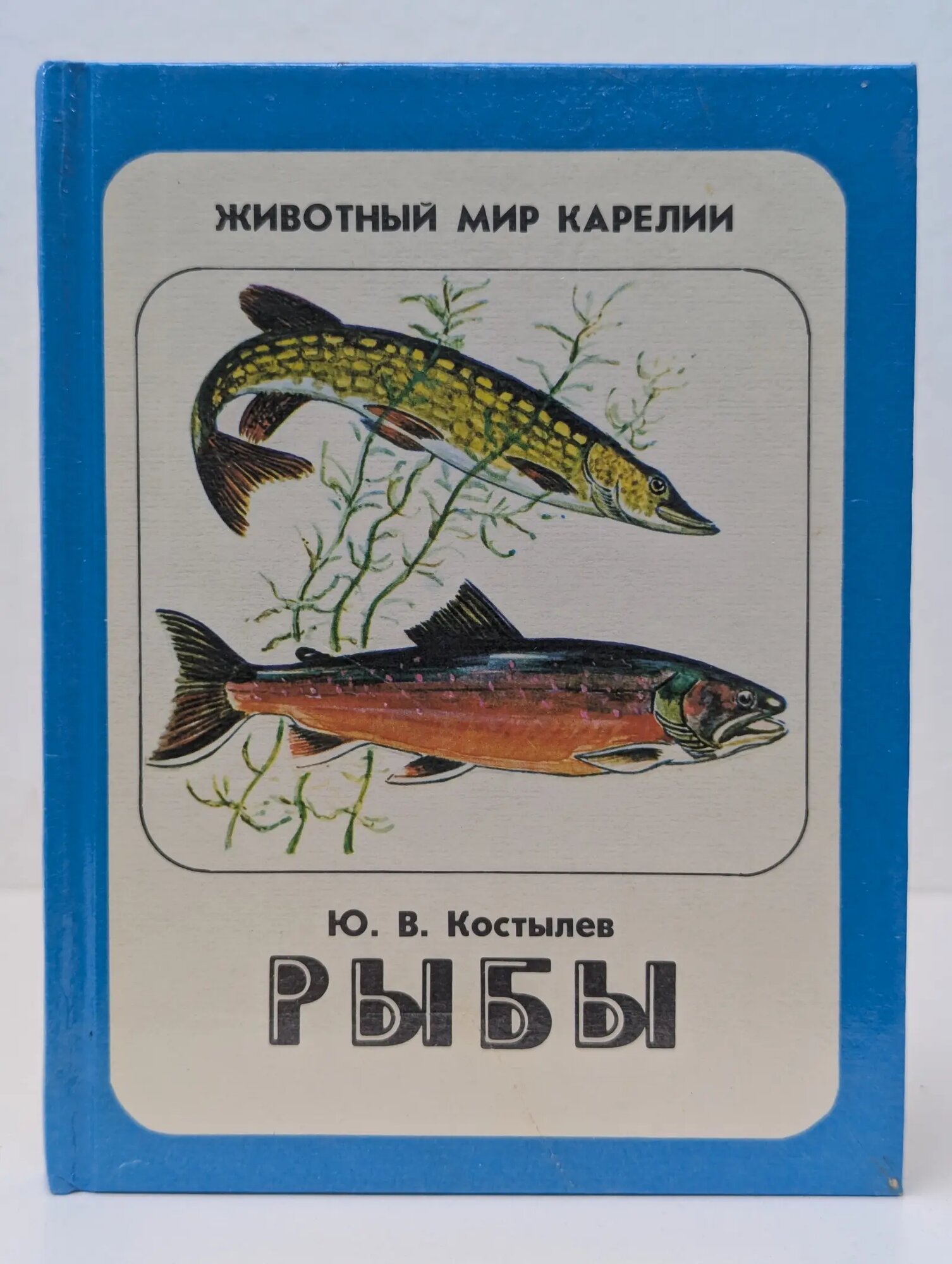 Рыбы. Животный мир Карелии Мельянцев Василий Георгиевич 1974