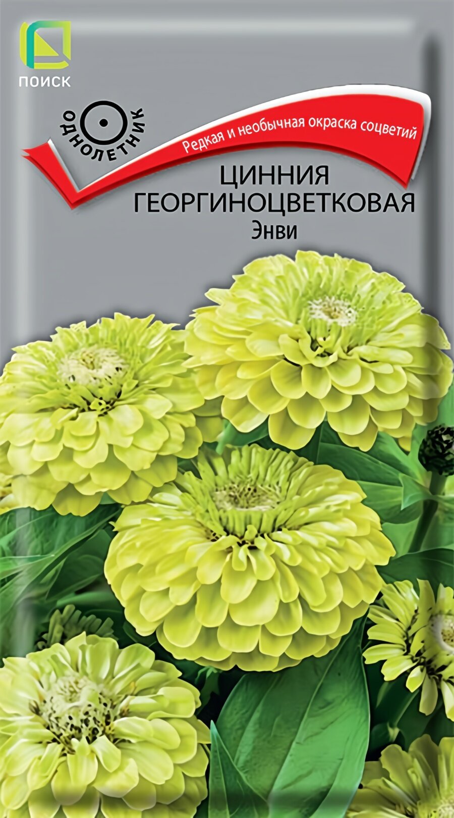 Семена циннии георгиноцветковой Энви, 0,4 г, поиск, однолетник, высота до 80 см, посев на рассаду в апреле