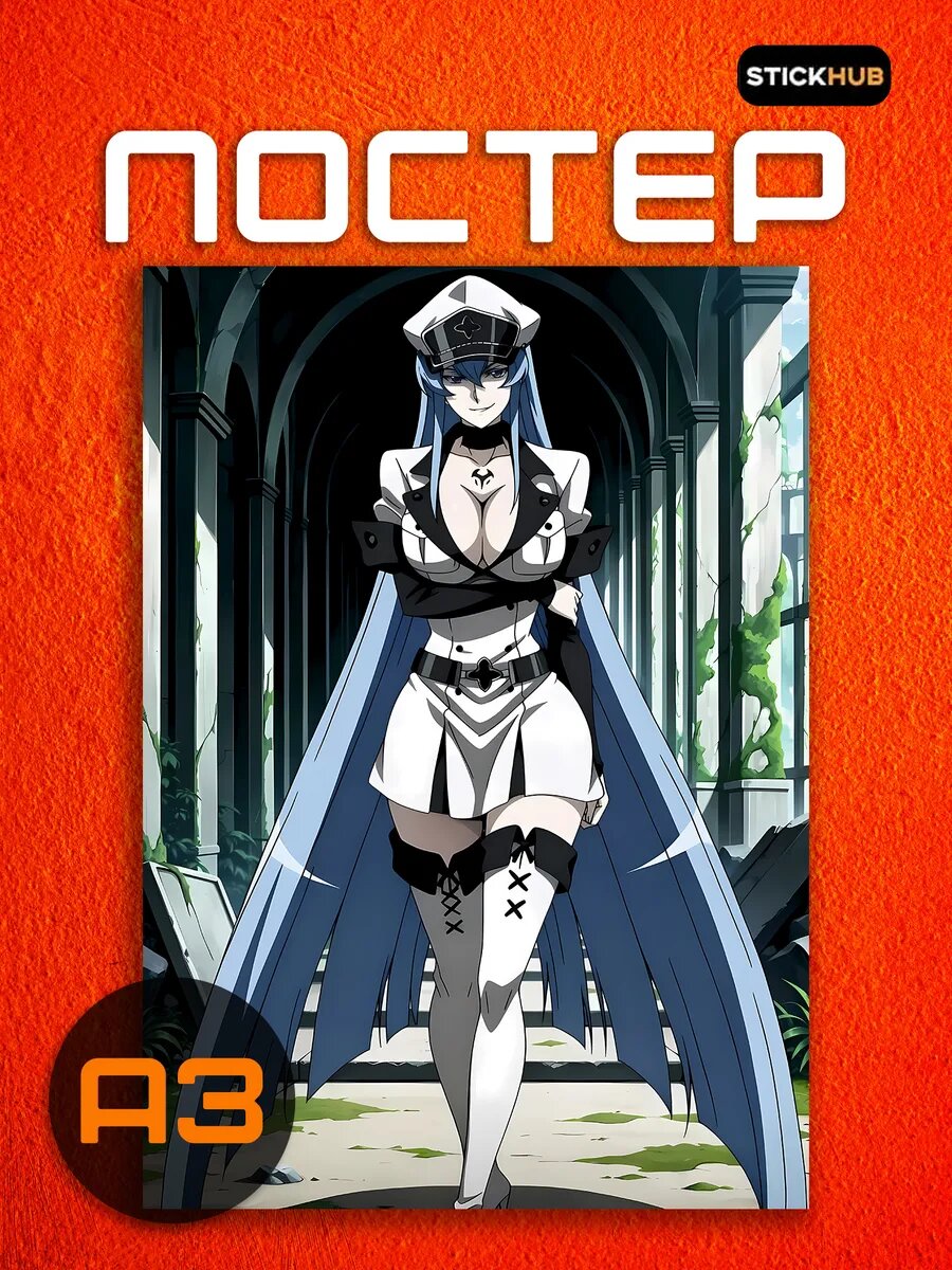 Постеры на стену интерьерные Эсдес, Akame ga Kill