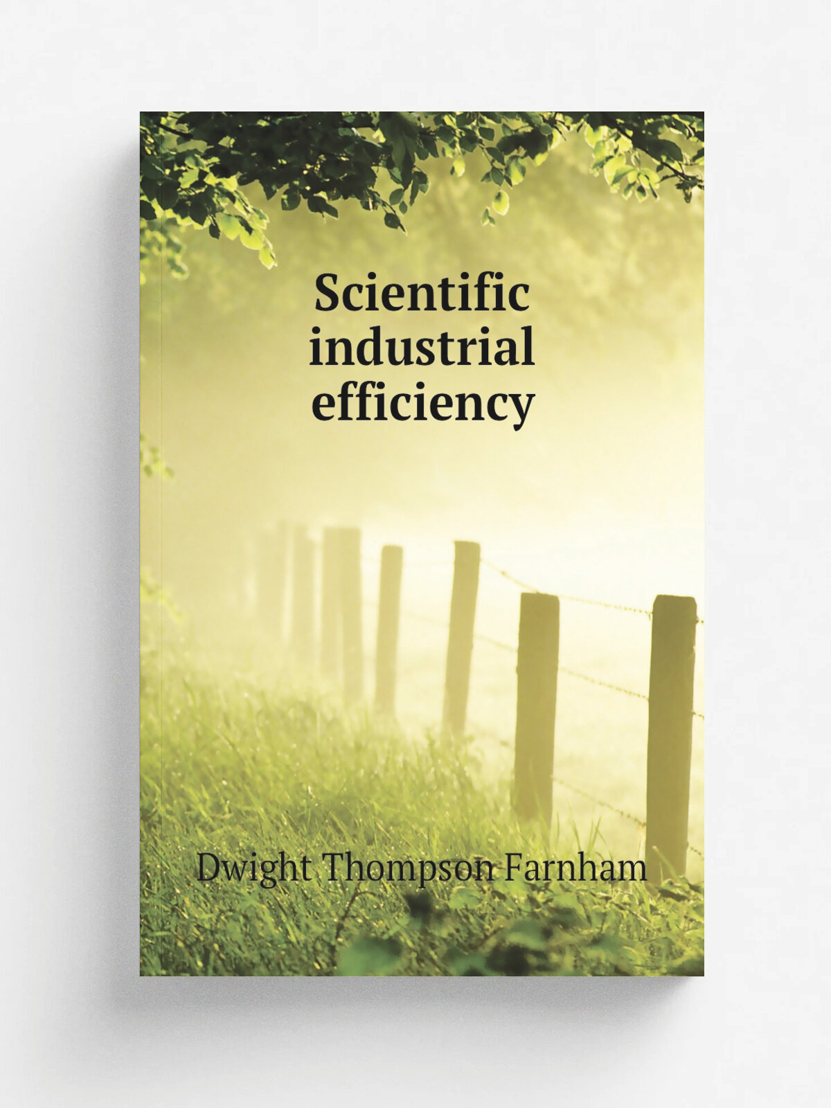 Scientific industrial efficiency | Dwight Thompson Farnham | Репринт