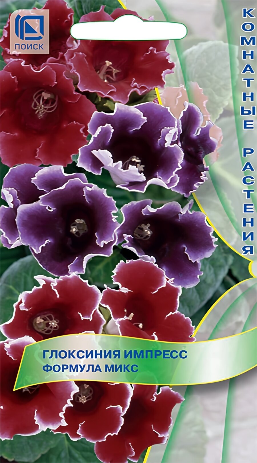 Семена глоксинии Импресс Формула микс, 5 шт, Поиск, многолетник, посев на рассаду в январе–феврале, для полутени