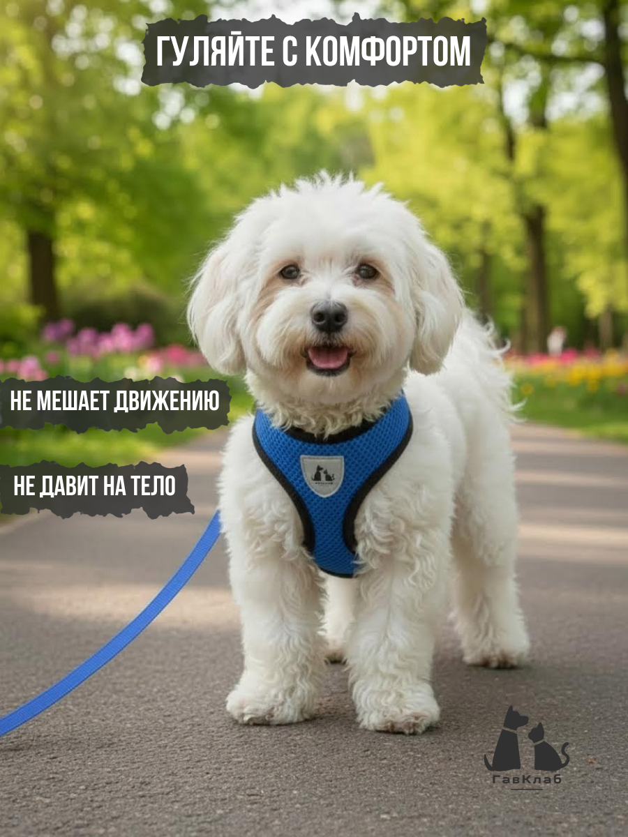 Шлейка для собак — фото 1