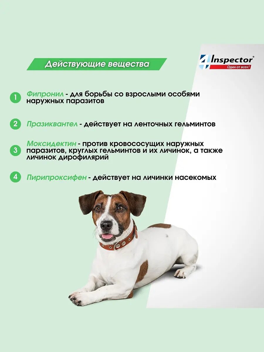 Inspector капли от блох и клещей для собак 4-10 кг для нанесения на холку, 1 мл, 3 пипетки — фото 1