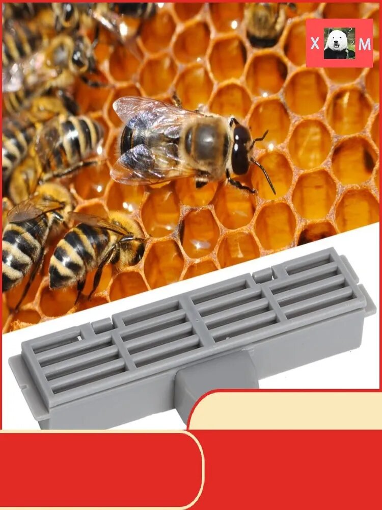 Устройство для защиты пчелиной матки от побега инструмент для пчеловодства 10ШТ